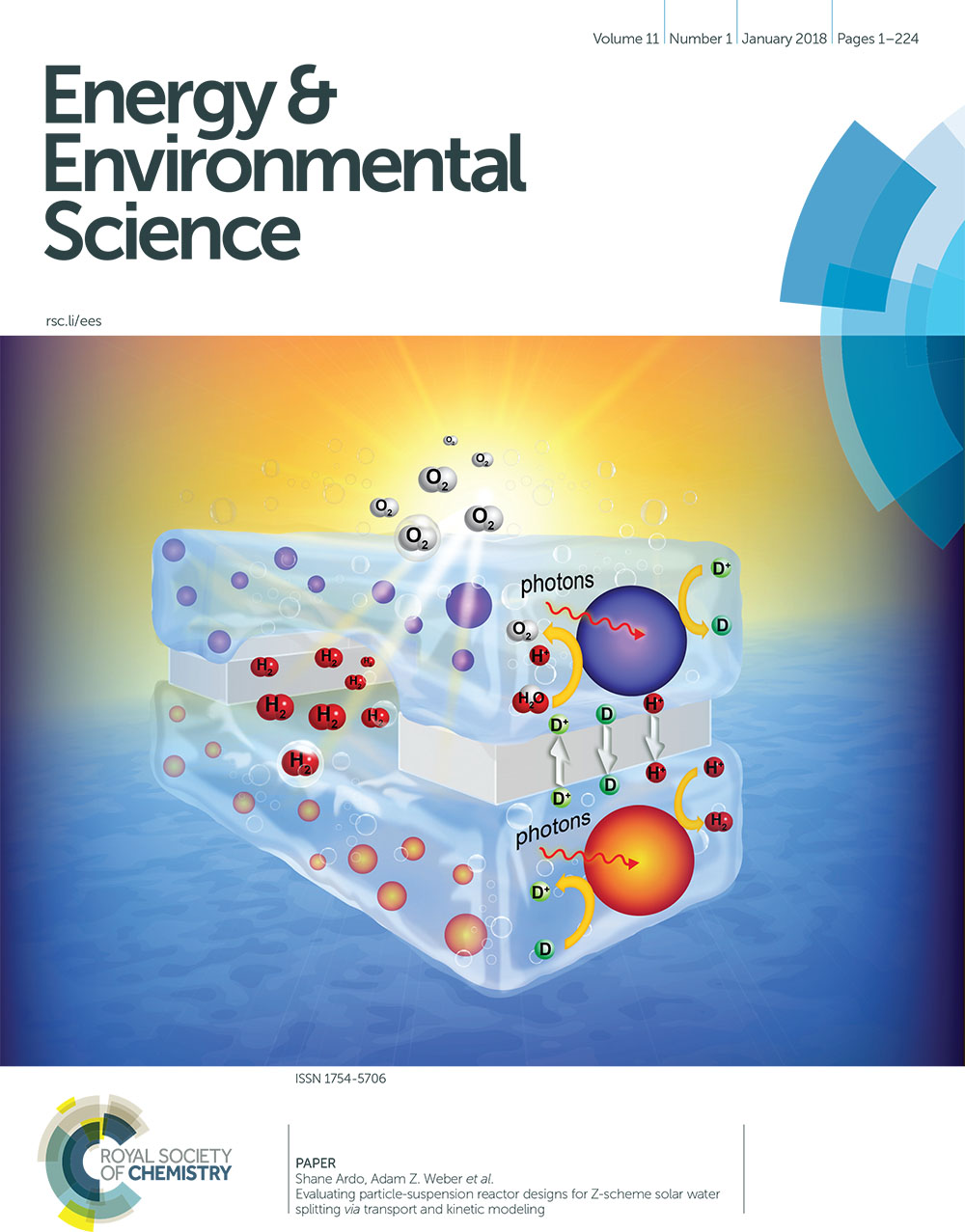 Research Project Ideas Environmental Science at Robin Clark blog